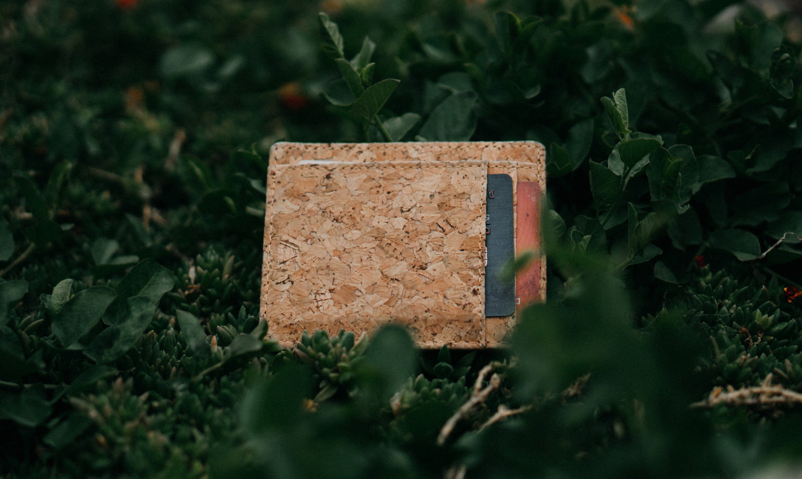 Why Cork Wallets? - Andar